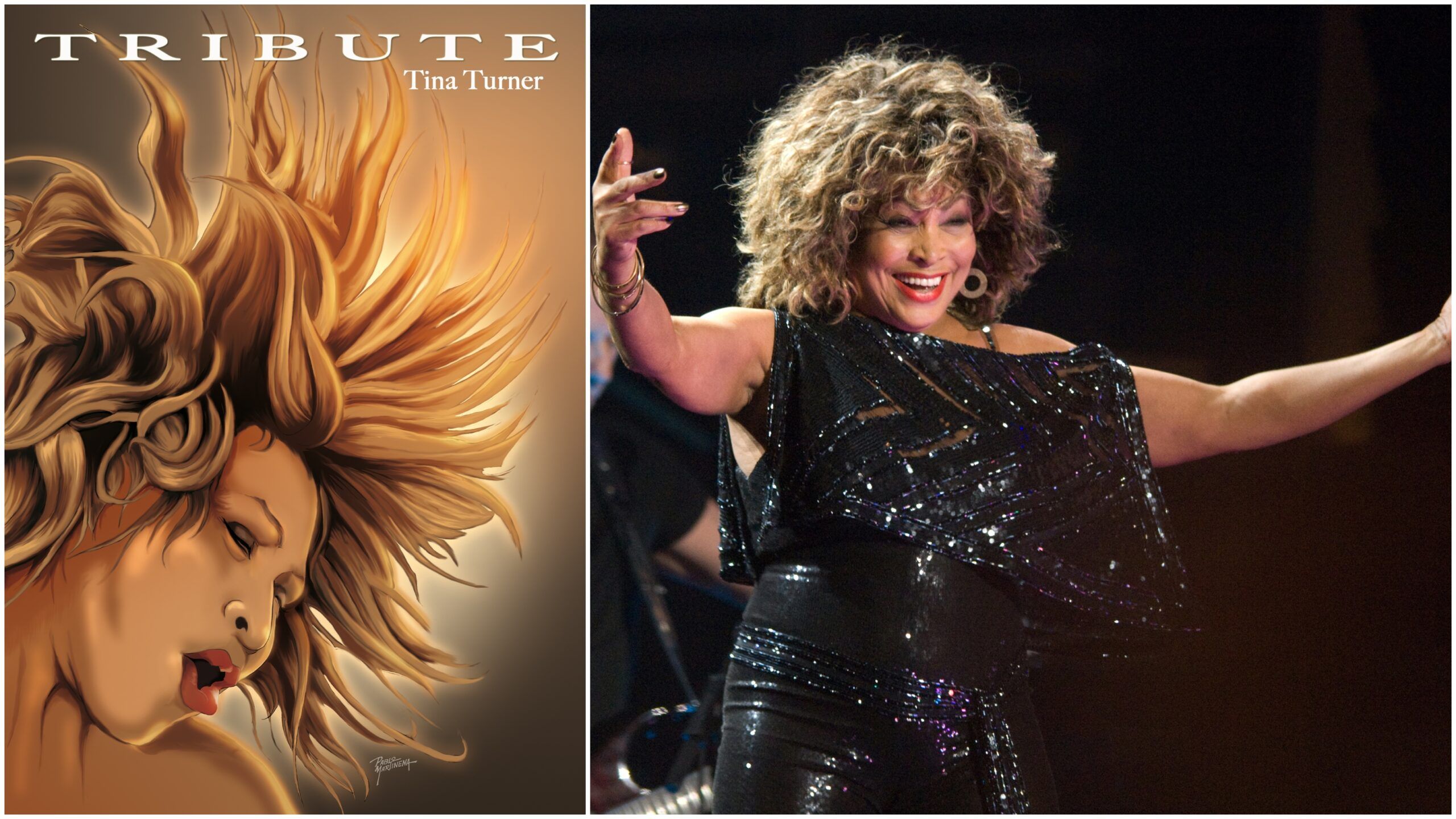 A new comic book celebrates music icon Tina Turner - TheGrio