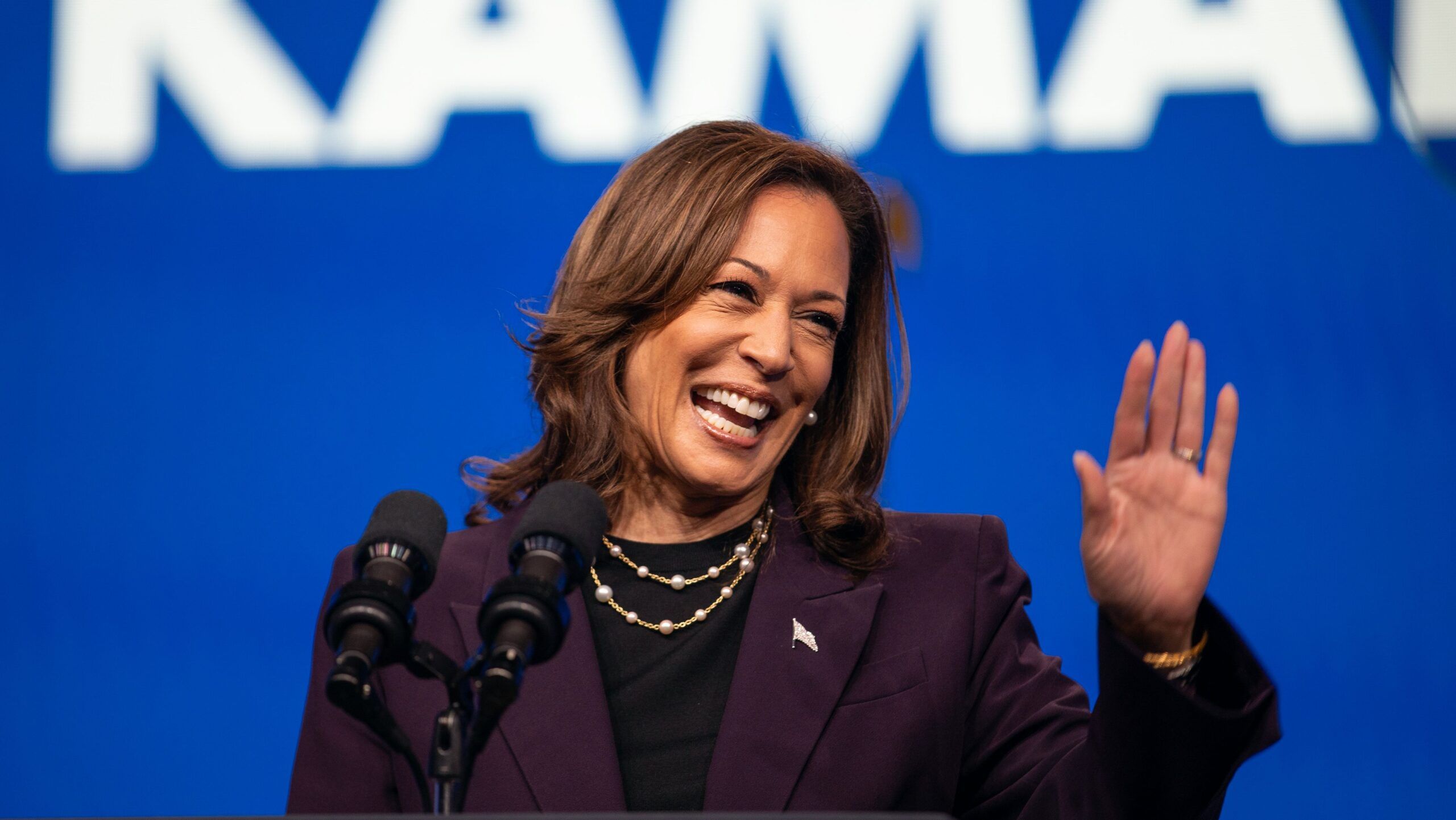 Harris’ DNC nomination is a debt owed to Black women, says MSNBC’s Joy ...