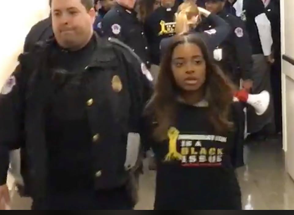 Tamika Mallory arrested on the Hill while fighting for Black immigrants ...