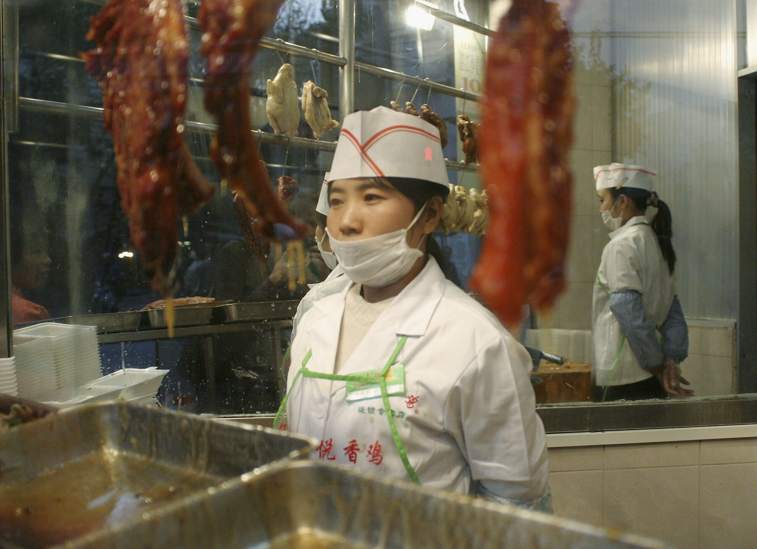 Chinese city becomes country's first to ban eating cats and dogs