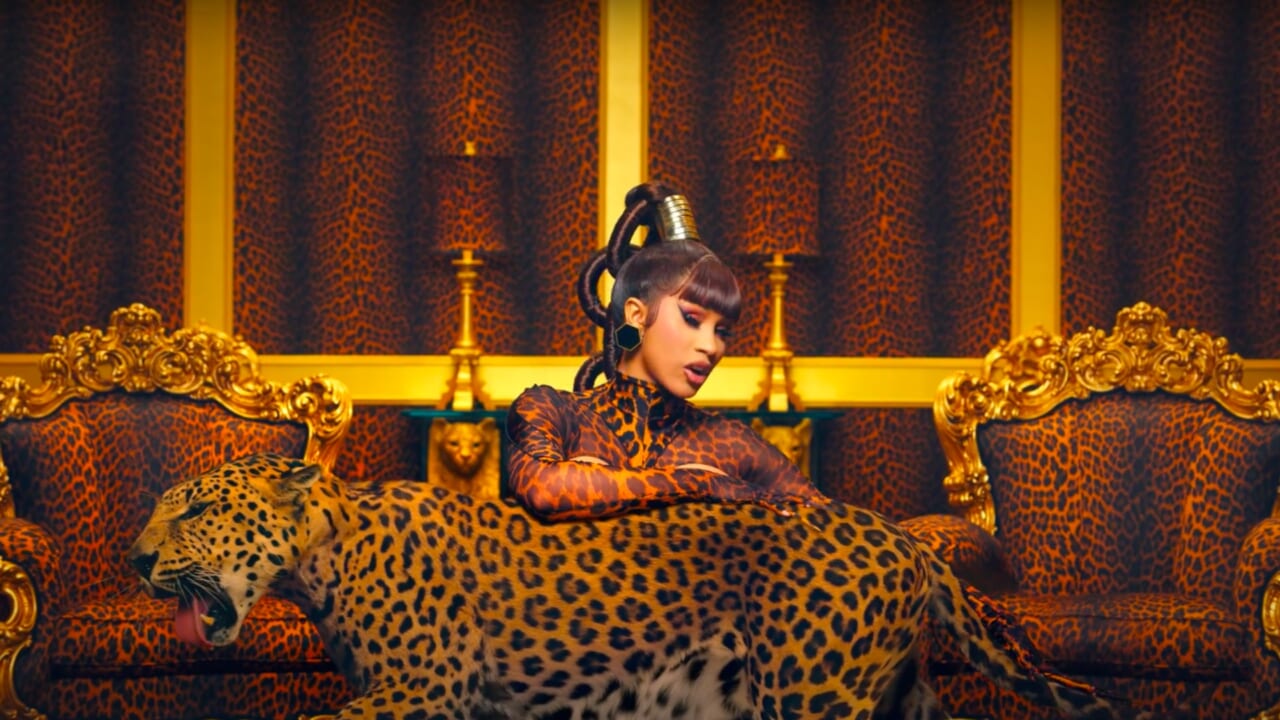 Carole Baskin angered over cat imagery in 'WAP' music video - TheGrio