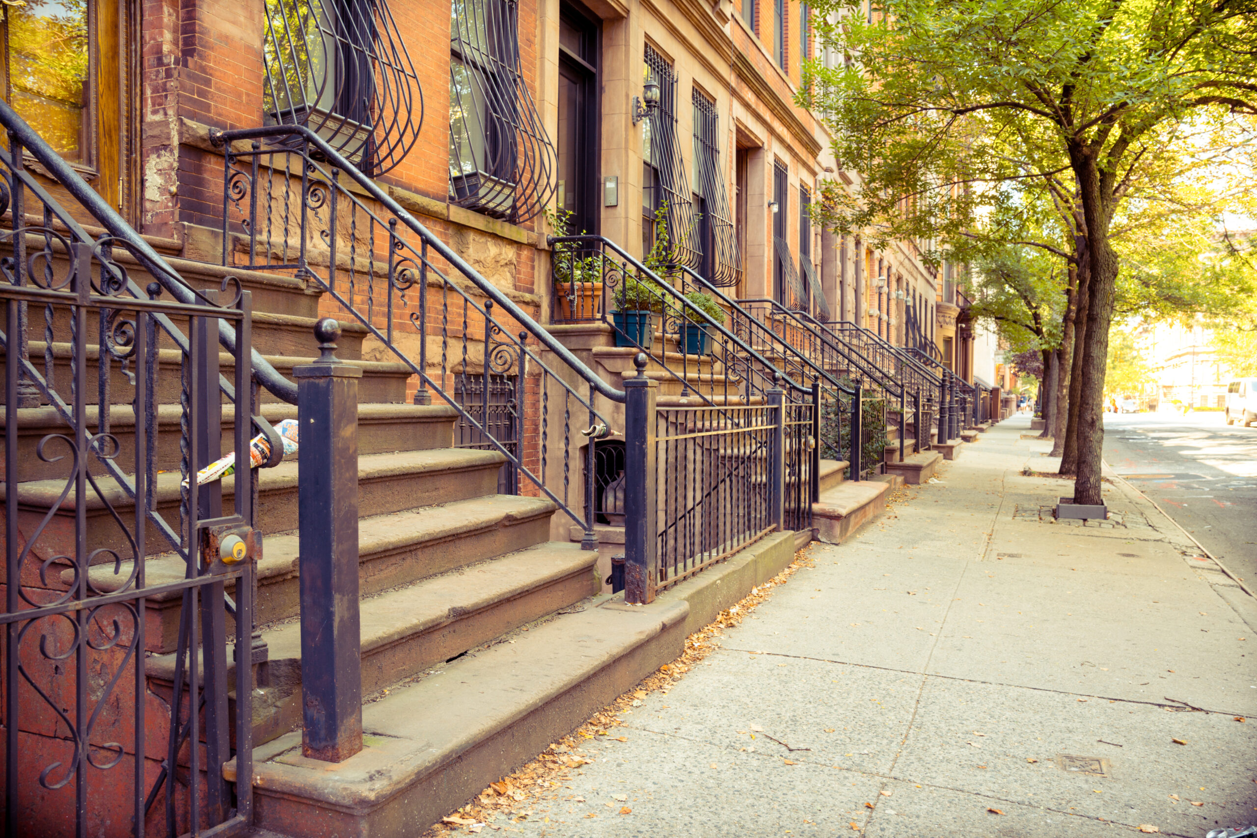 Harlem street named after white photographer of famed picture gets ...