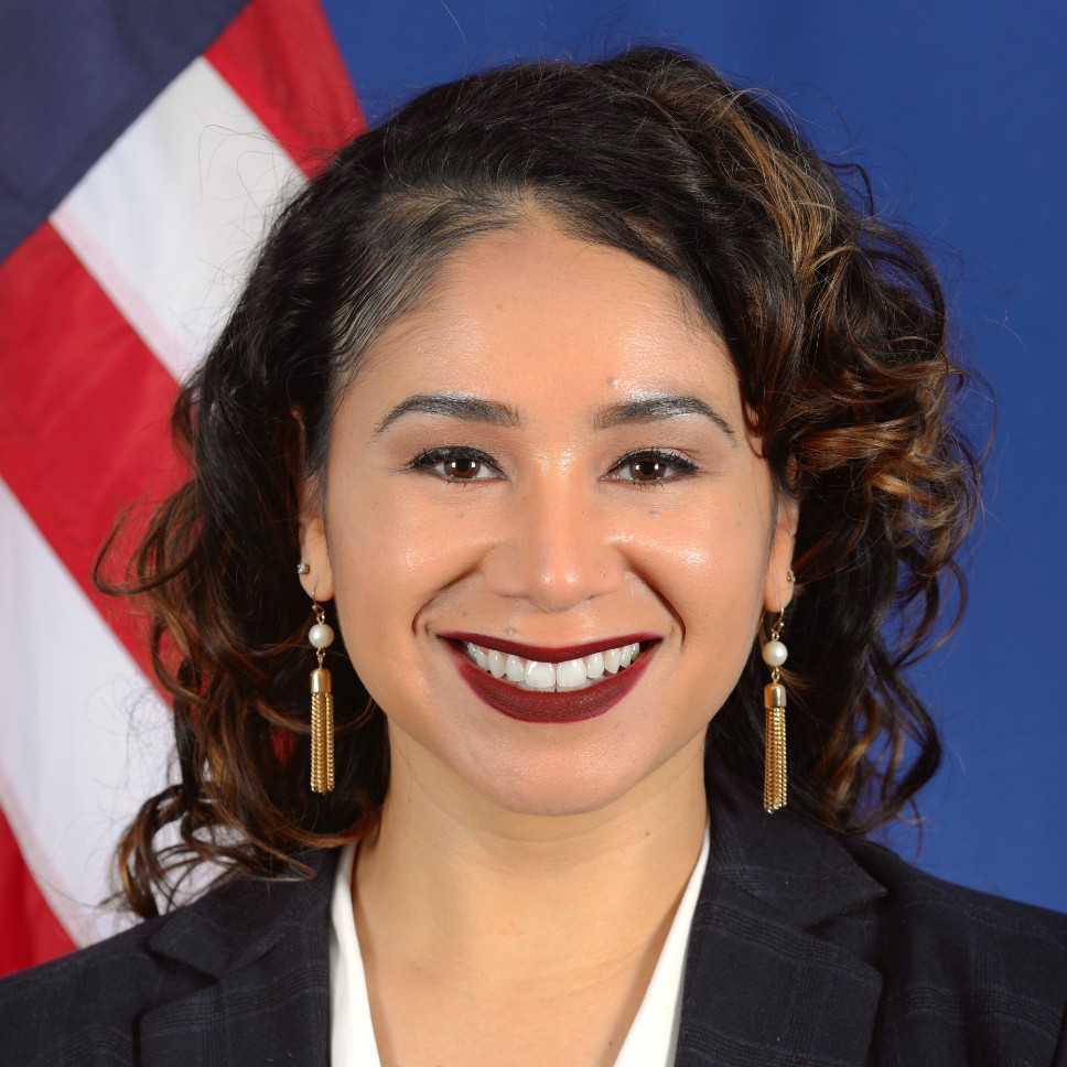 Black Trillions - How Black American activism inspired the United ...