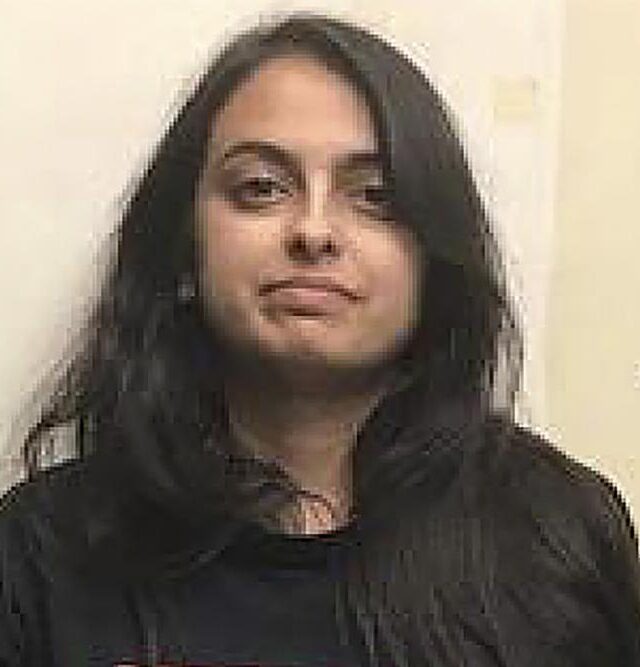 Lawyer gets 15 months jail time for firebombing police car in protest