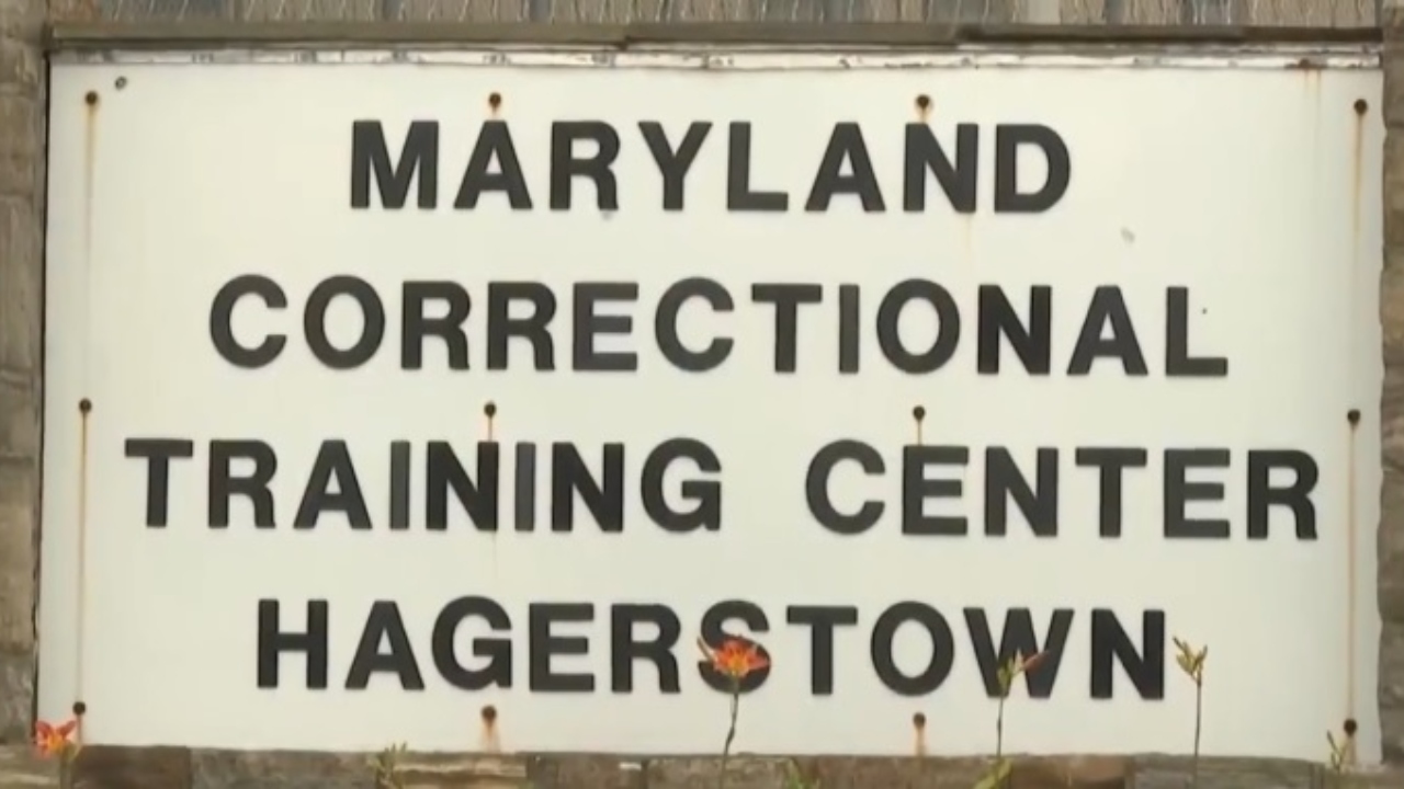 Black correctional officers file racial discrimination suit citing ...